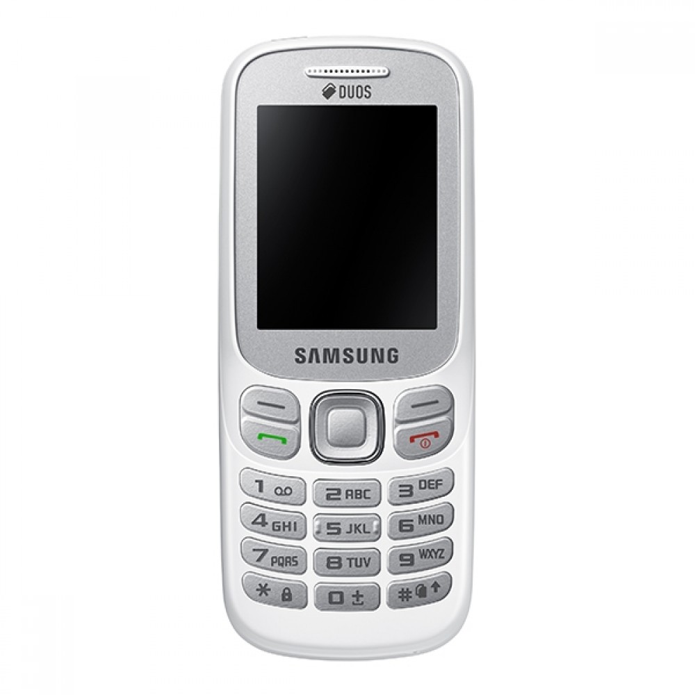 Samsung Metro 313